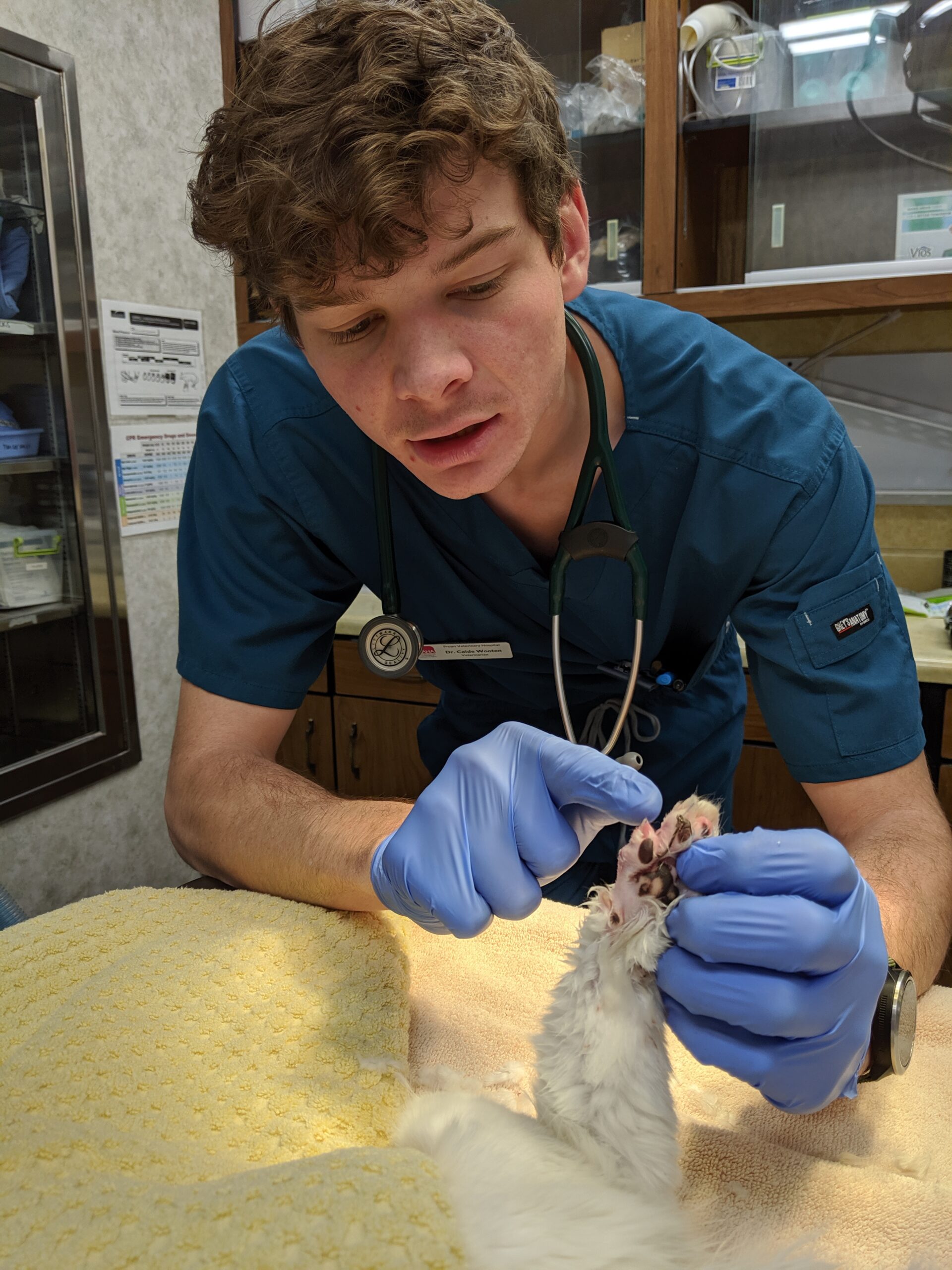 Spotlight on Our Alumni: Caide Wooten '15 | Academic and Student ...